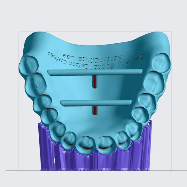 Lucitone Digital Print 3D Denture Base - Materials