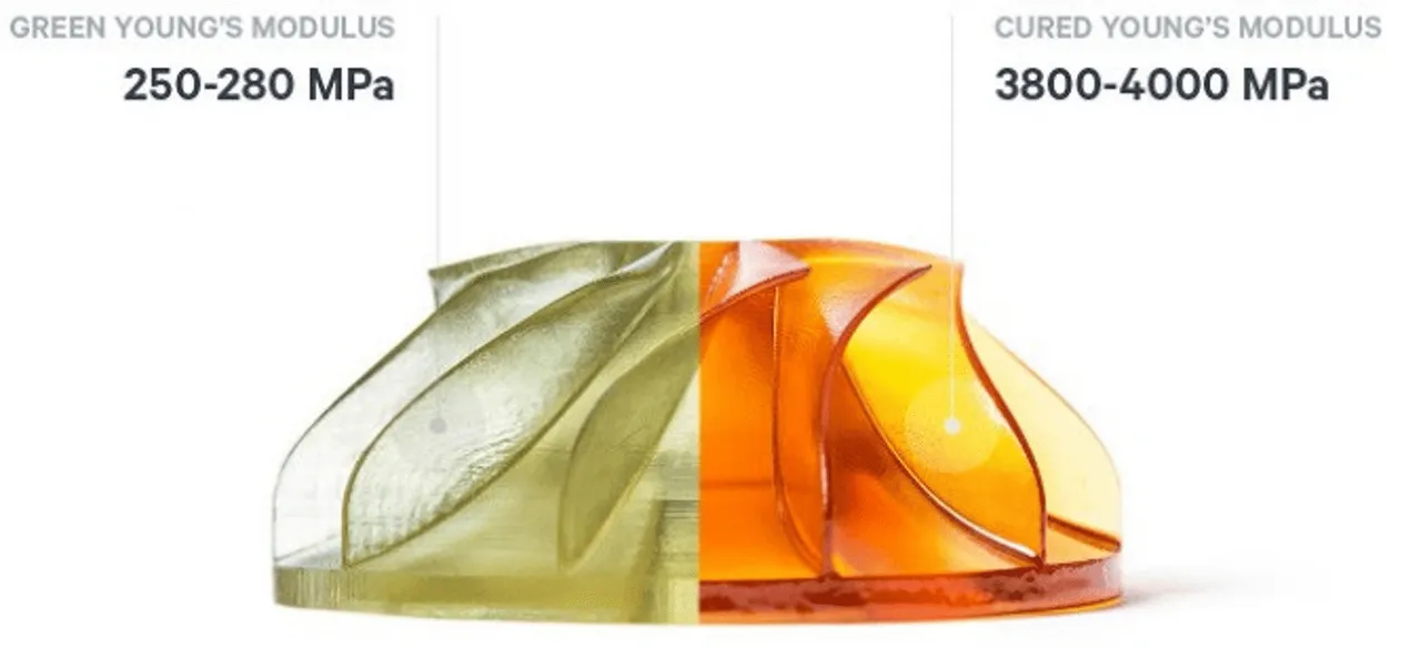 DLS Printer Dynamics - Process