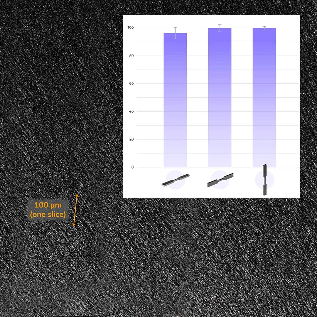 DLS Printer Dynamics - Process