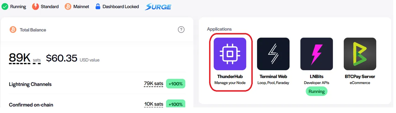 Thunderhub Guide - Voltage Documentation