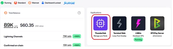 Thunderhub Guide - Voltage Documentation