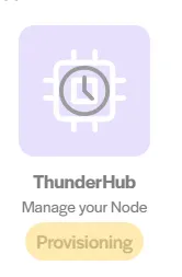 Thunderhub Guide - Voltage Documentation