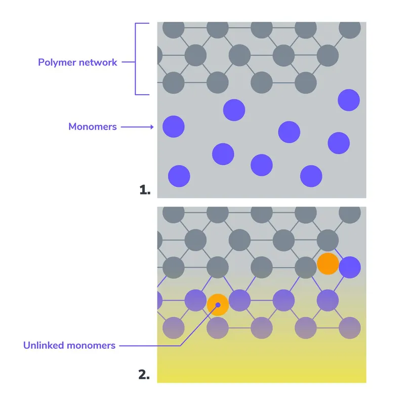 DLS Printer Dynamics - Process