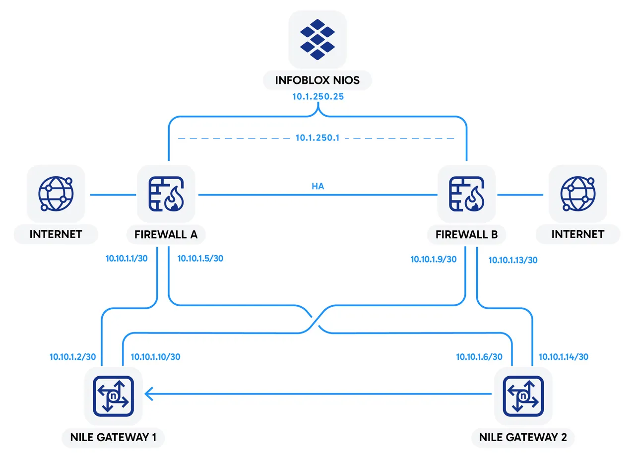 Infoblox NIOS - Nile
