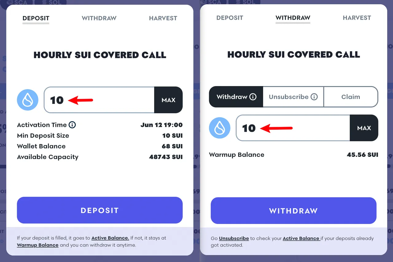 Depositor Guide - Typus Finance
