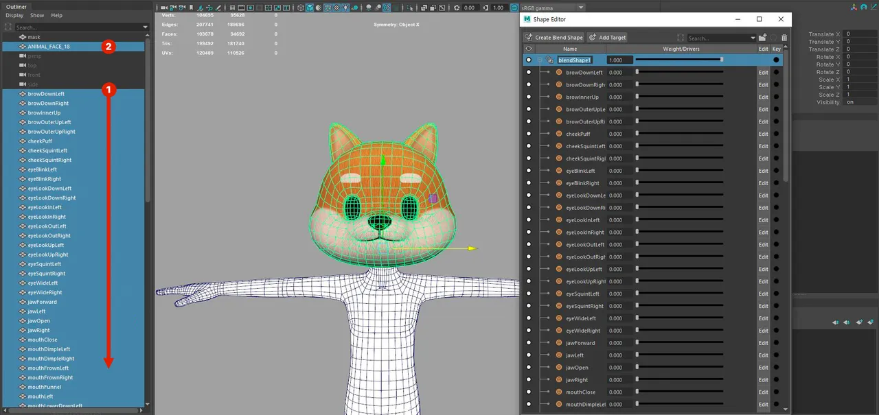 Blend Shape - Studio Guide