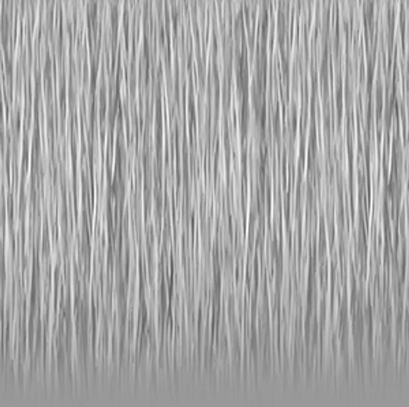 3D Modeling - Hair - Studio Guide