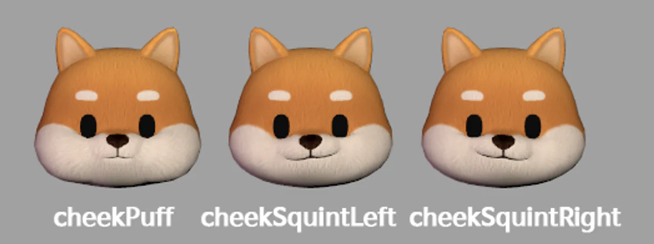 Blend Shape - Studio Guide