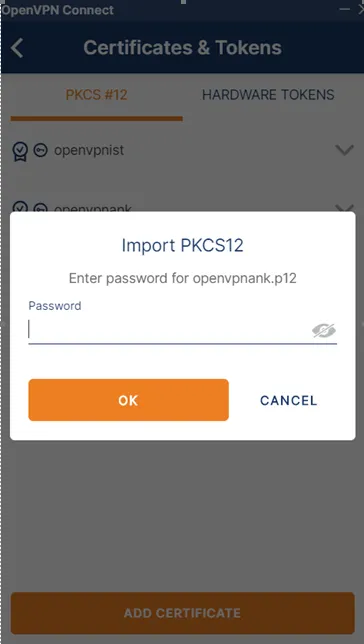 OpenVPN Connection Information - Kron Support Docs